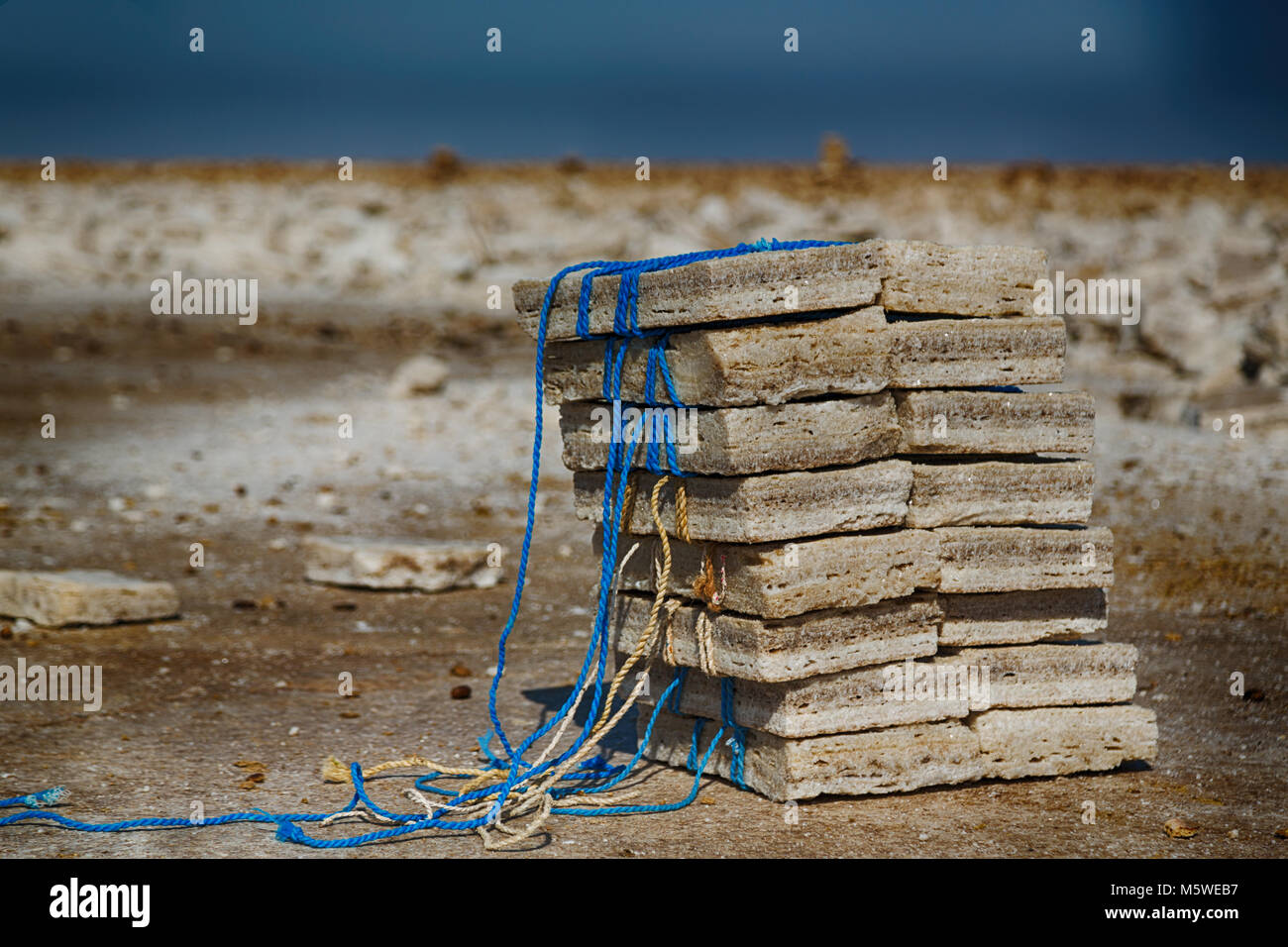 in danakil ethiopia africa the block of salt in the antique lake Stock ...