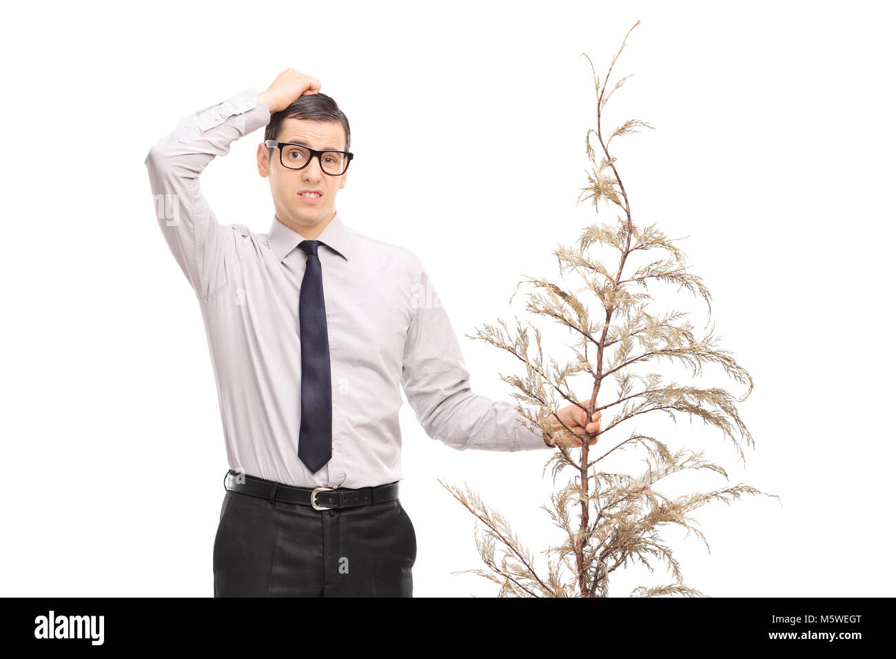 Confused young man holding a dead tree isolated on white background ...