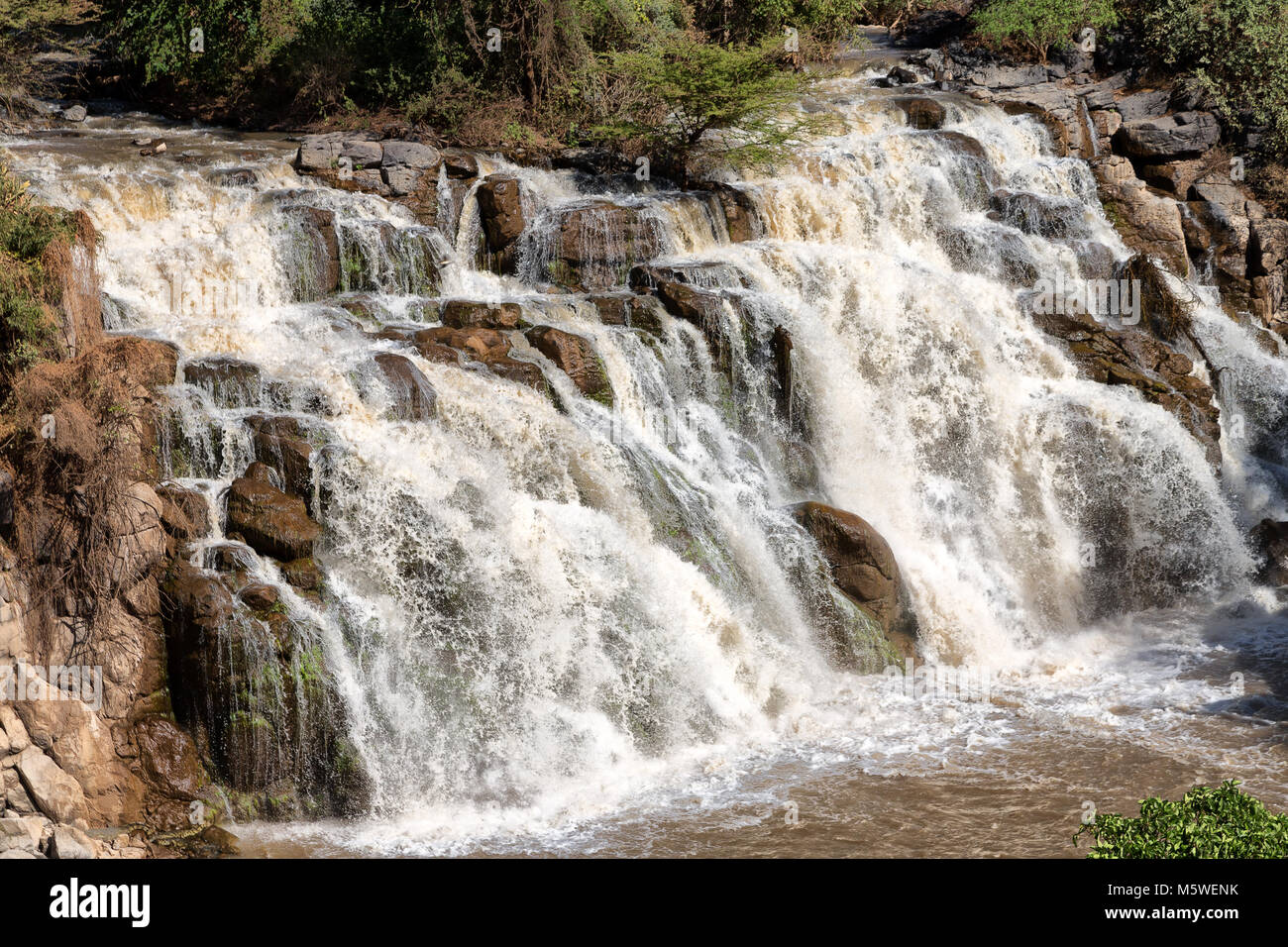 in ethiopia africa the awash national park and the falls nature wild ...