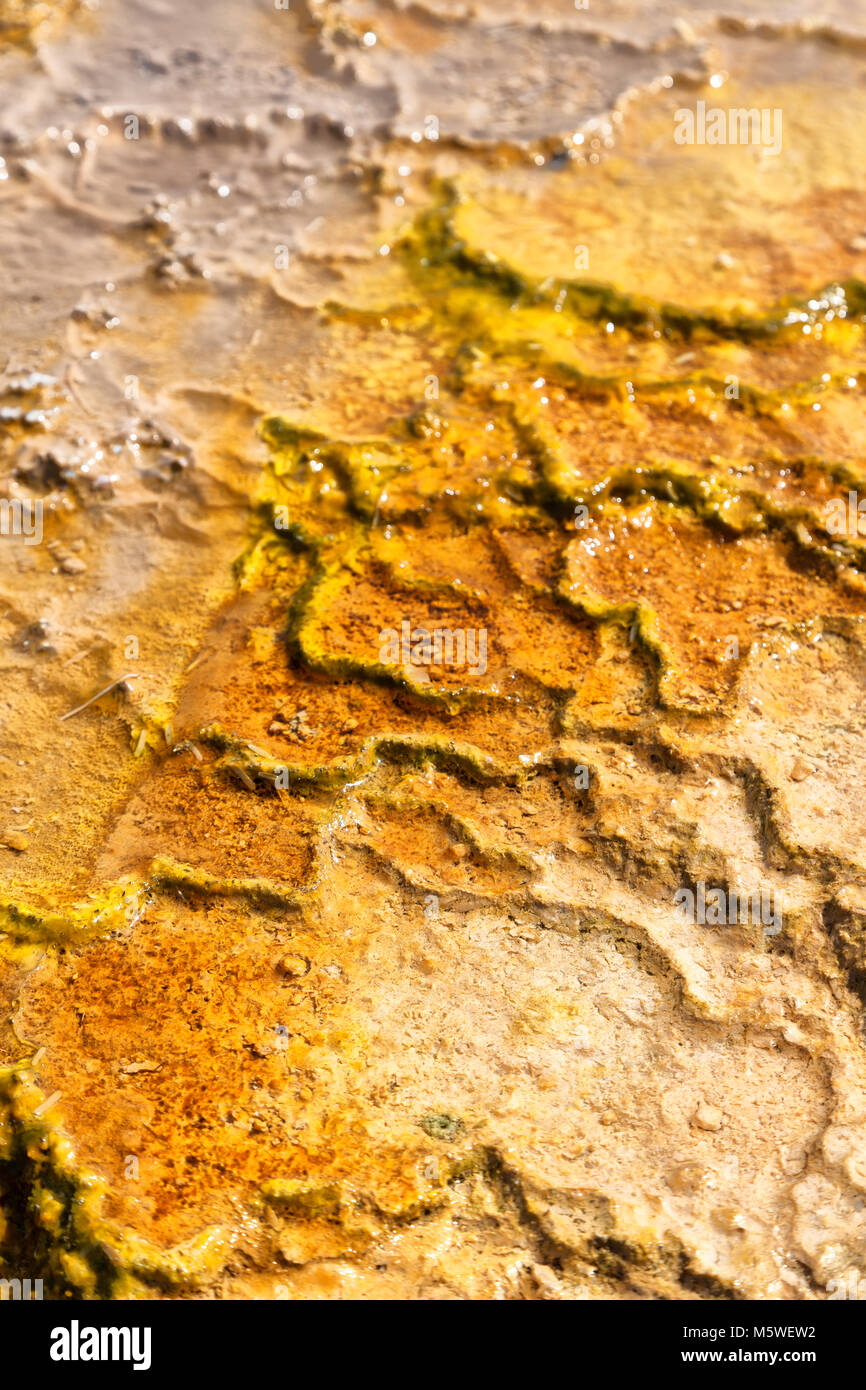 in danakil ethiopia africa the volcanic depression of dallol and pole ...