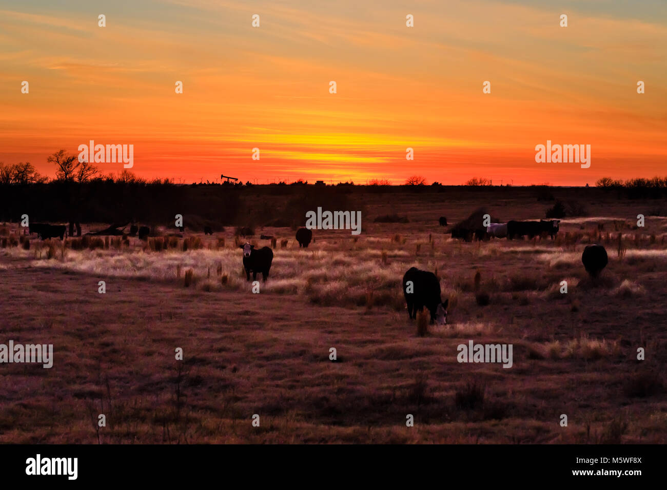 Ranch silhouette sunset yellow hi-res stock photography and images - Alamy