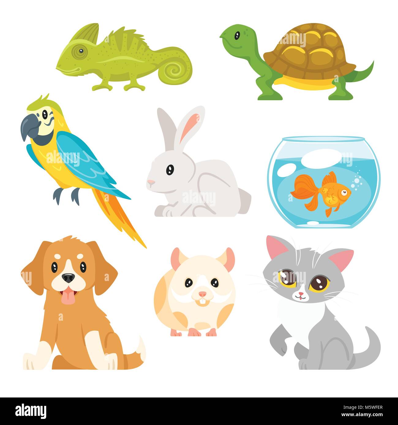 Cat dog parrot fish hi-res stock photography and images - Alamy