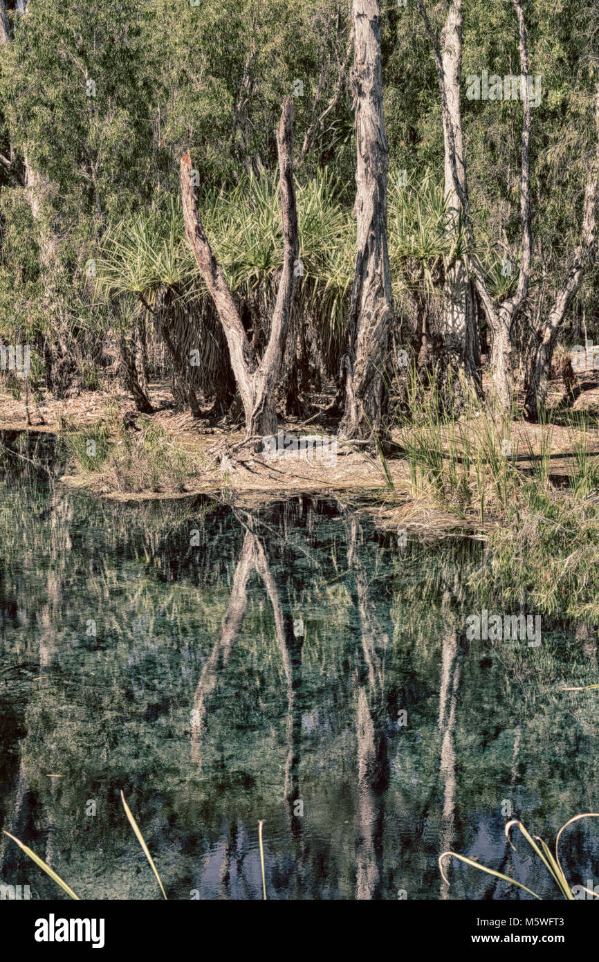 Roper river hot springs hi-res stock photography and images - Alamy