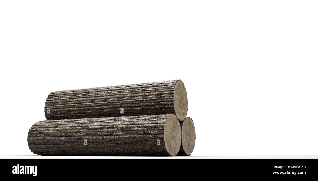 3d illustration of wooden trunk section isolated on white background ...