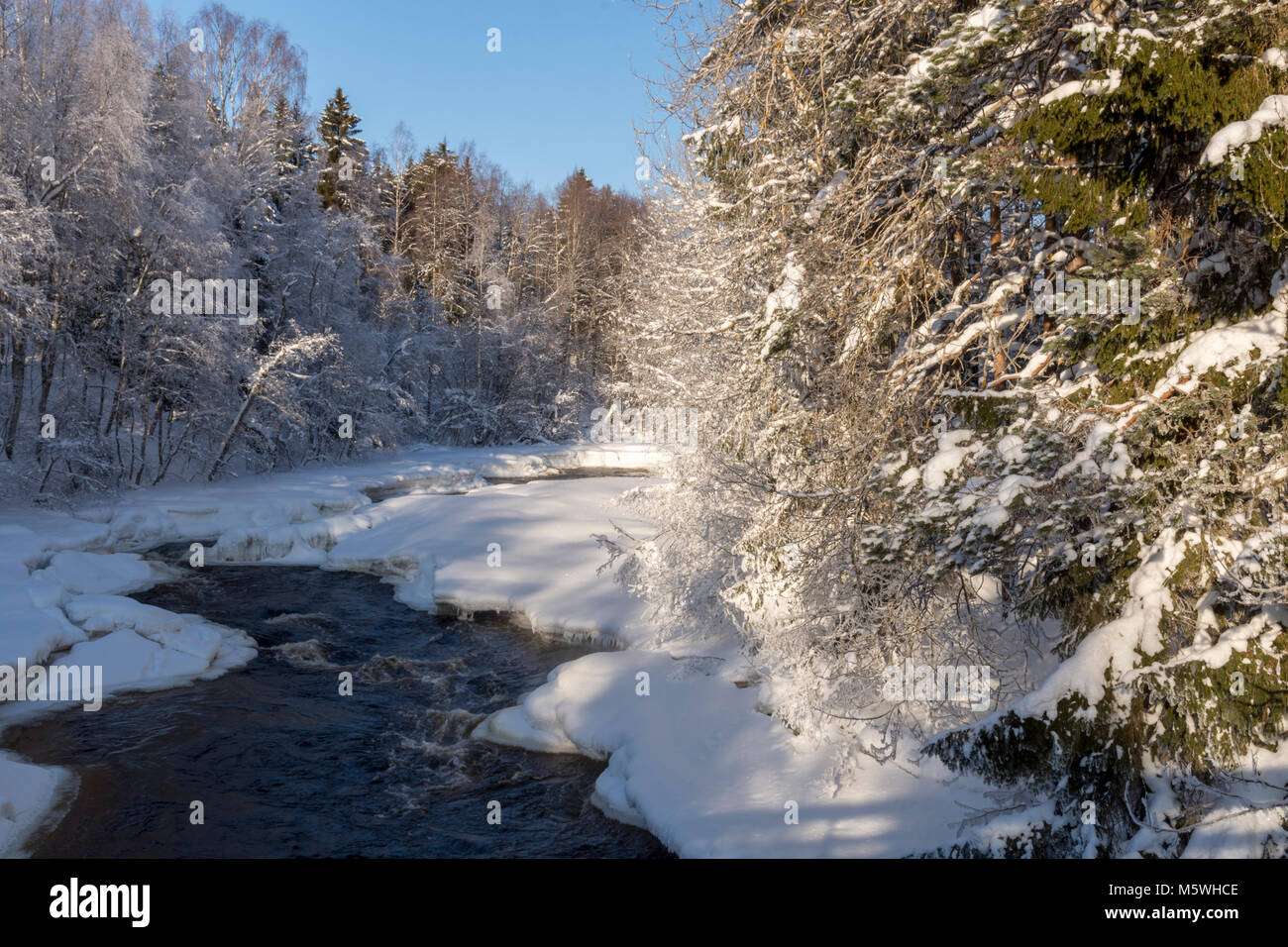 Stream in the forest with ice and snowy forest on both sides,picture ...