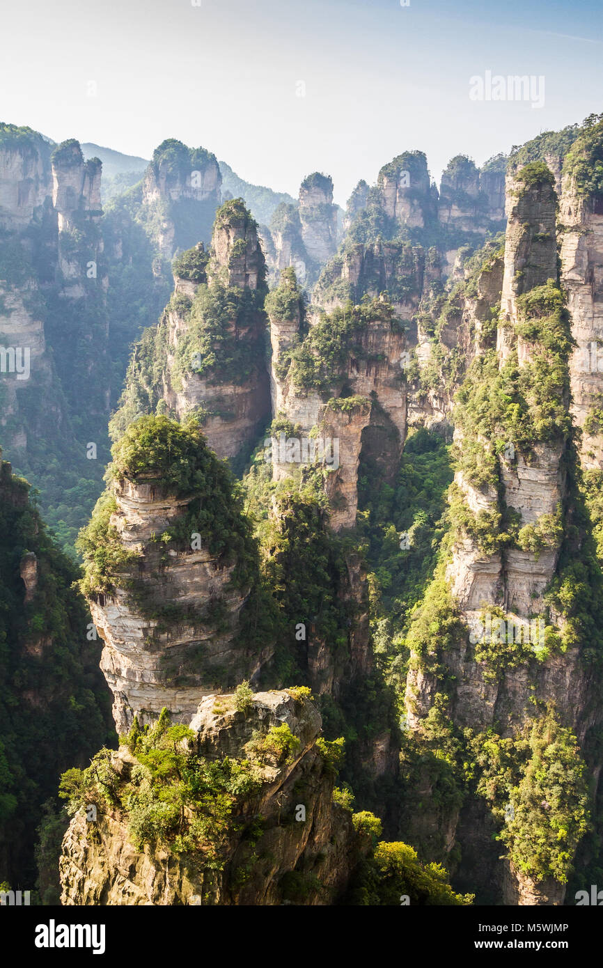 China, Hunan, Zhangjiajie National Park (Park of Avatar), karst pillars ...