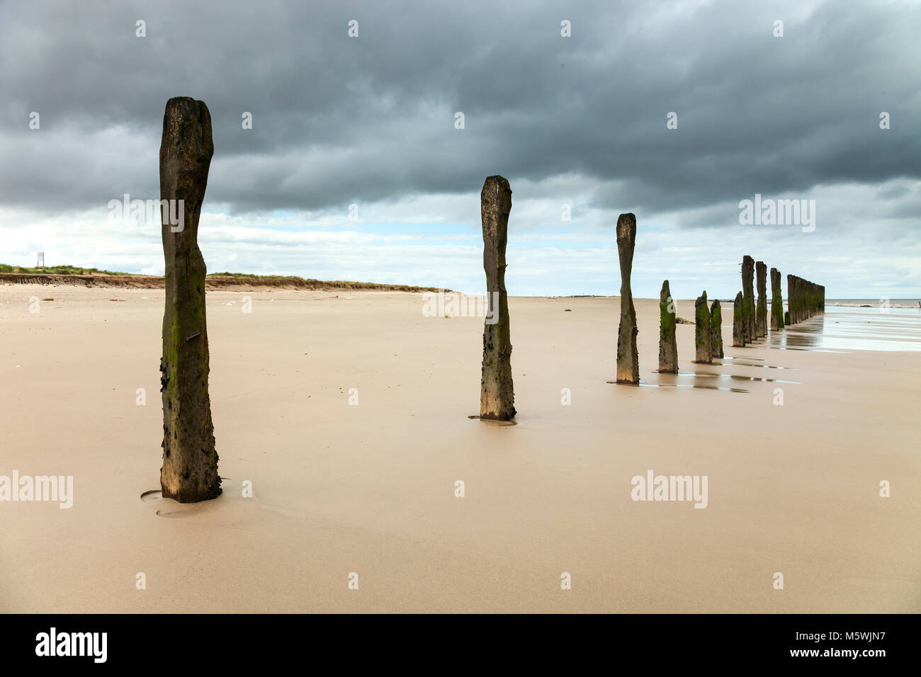 Holderness peninsula hi-res stock photography and images - Alamy