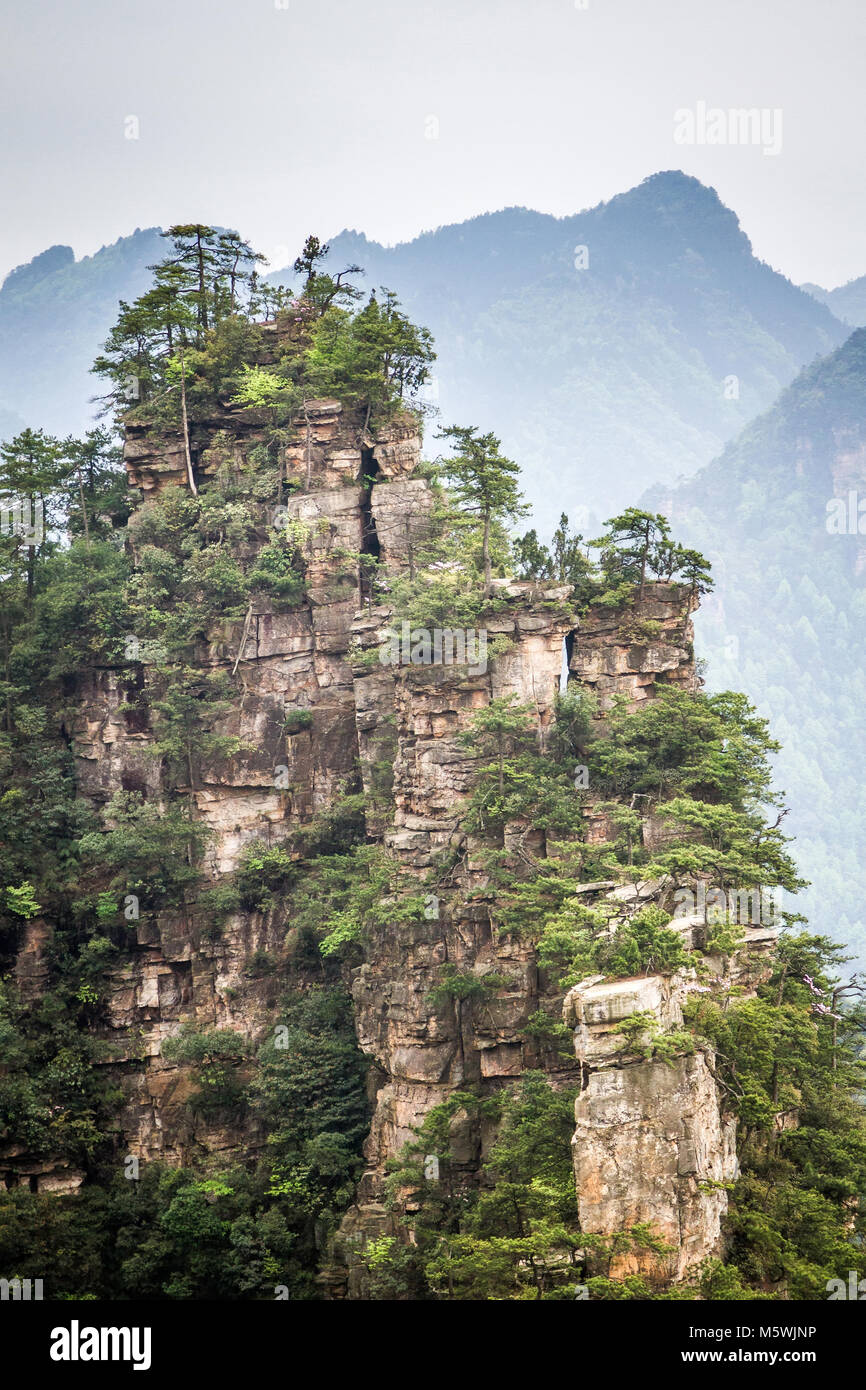 China, Hunan, Zhangjiajie National Park (Park of Avatar), karst pillars ...