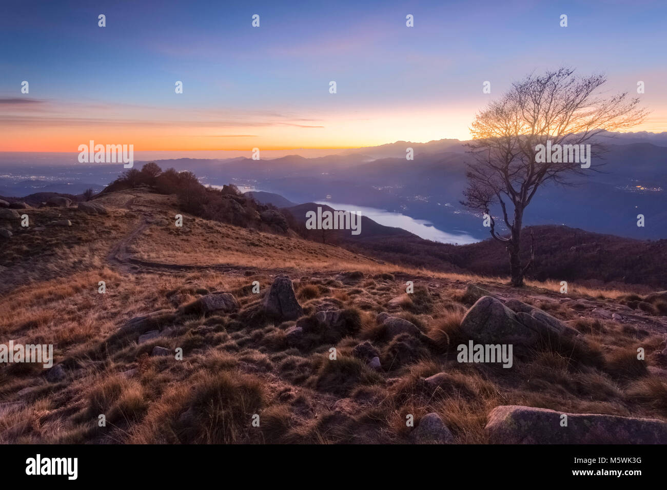 View of a tree and the Lago d'Orta from the top of Mottarone. Stresa ...