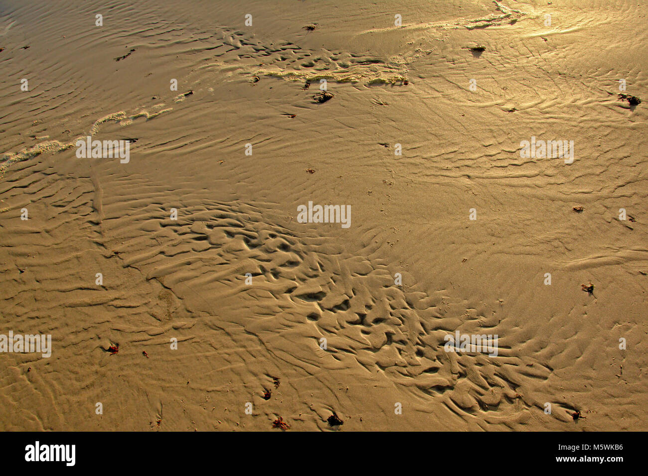 Wavy sand patterns in wet sand on the beach Stock Photo - Alamy