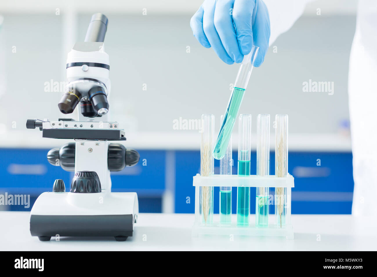 Male researcher standing lab hi-res stock photography and images - Alamy
