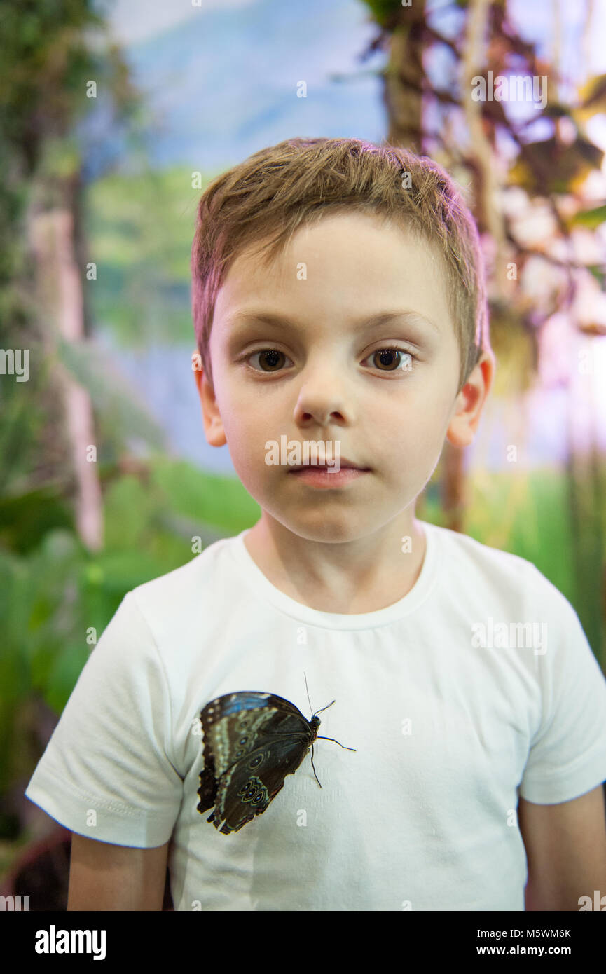 cute little boy with a butterfly sitting on his chest indoors Stock ...