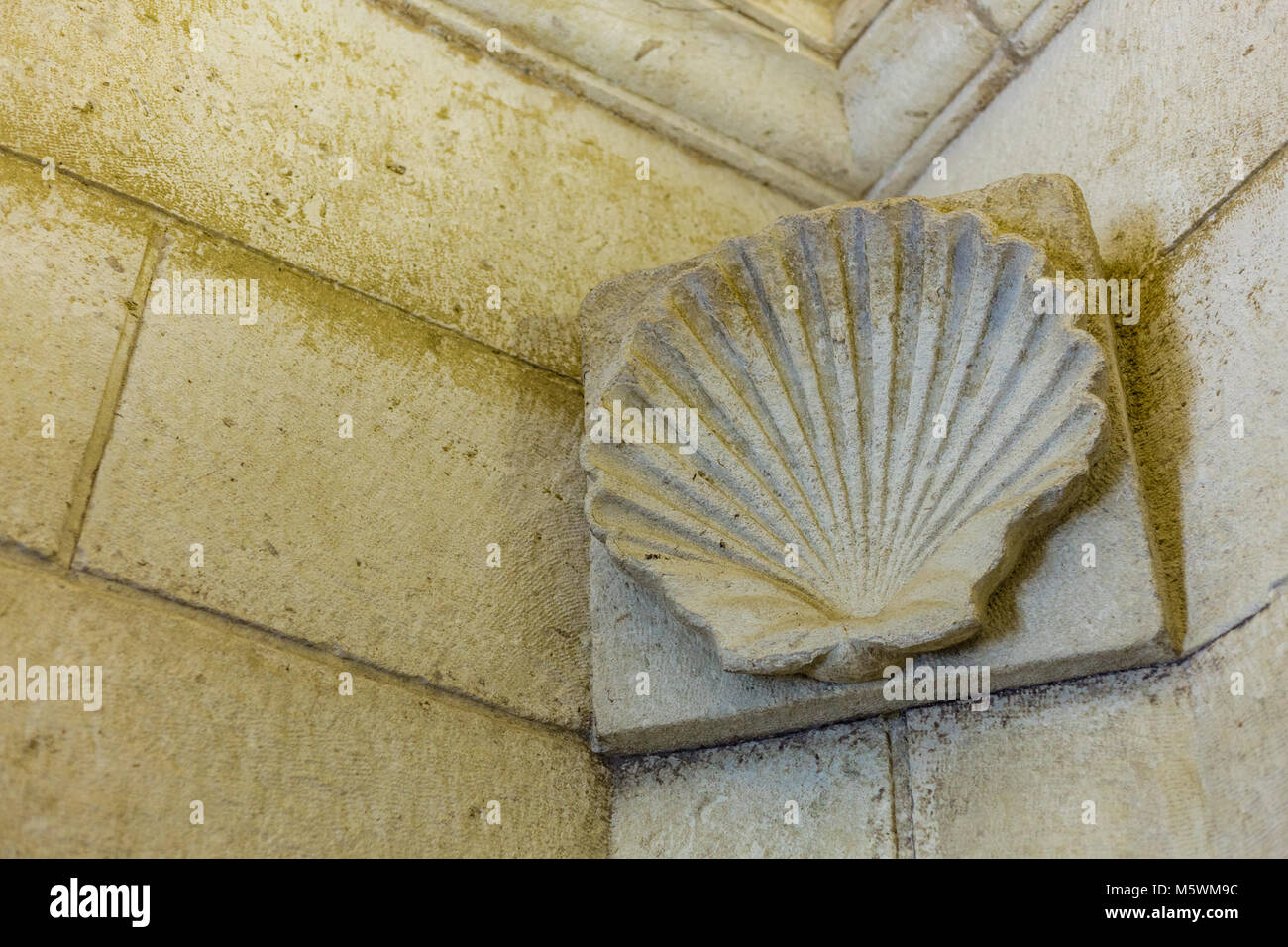 Shell carved in a wall frieze Stock Photo - Alamy