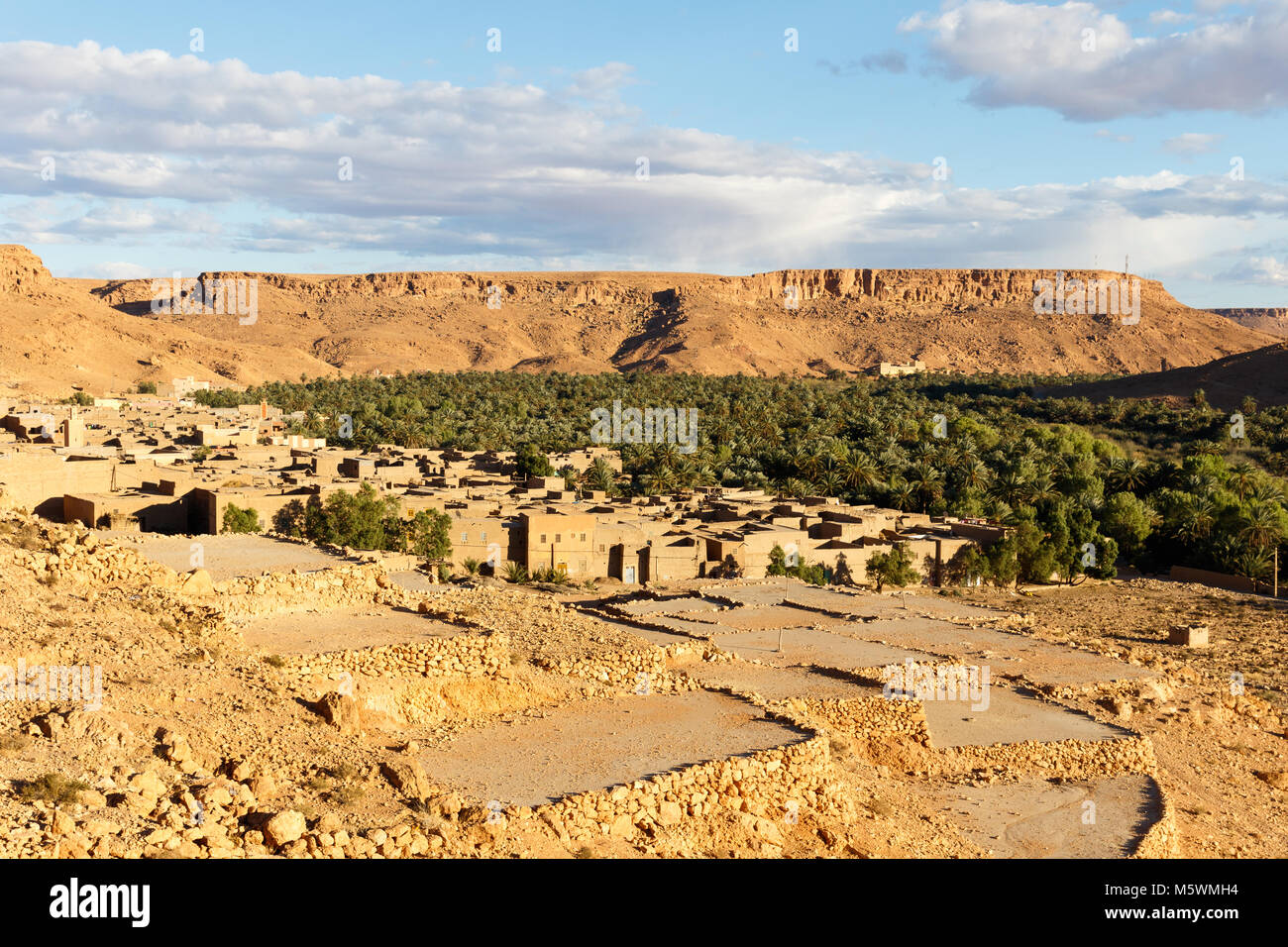 Oasis in the Dade valley Morocco Stock Photo - Alamy