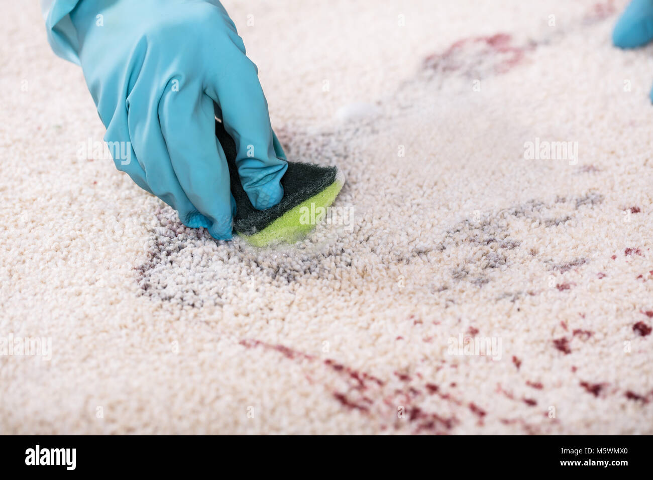 Close-up Of A Person's Hand Wearing Gloves Cleaning Stain Of Carpet ...