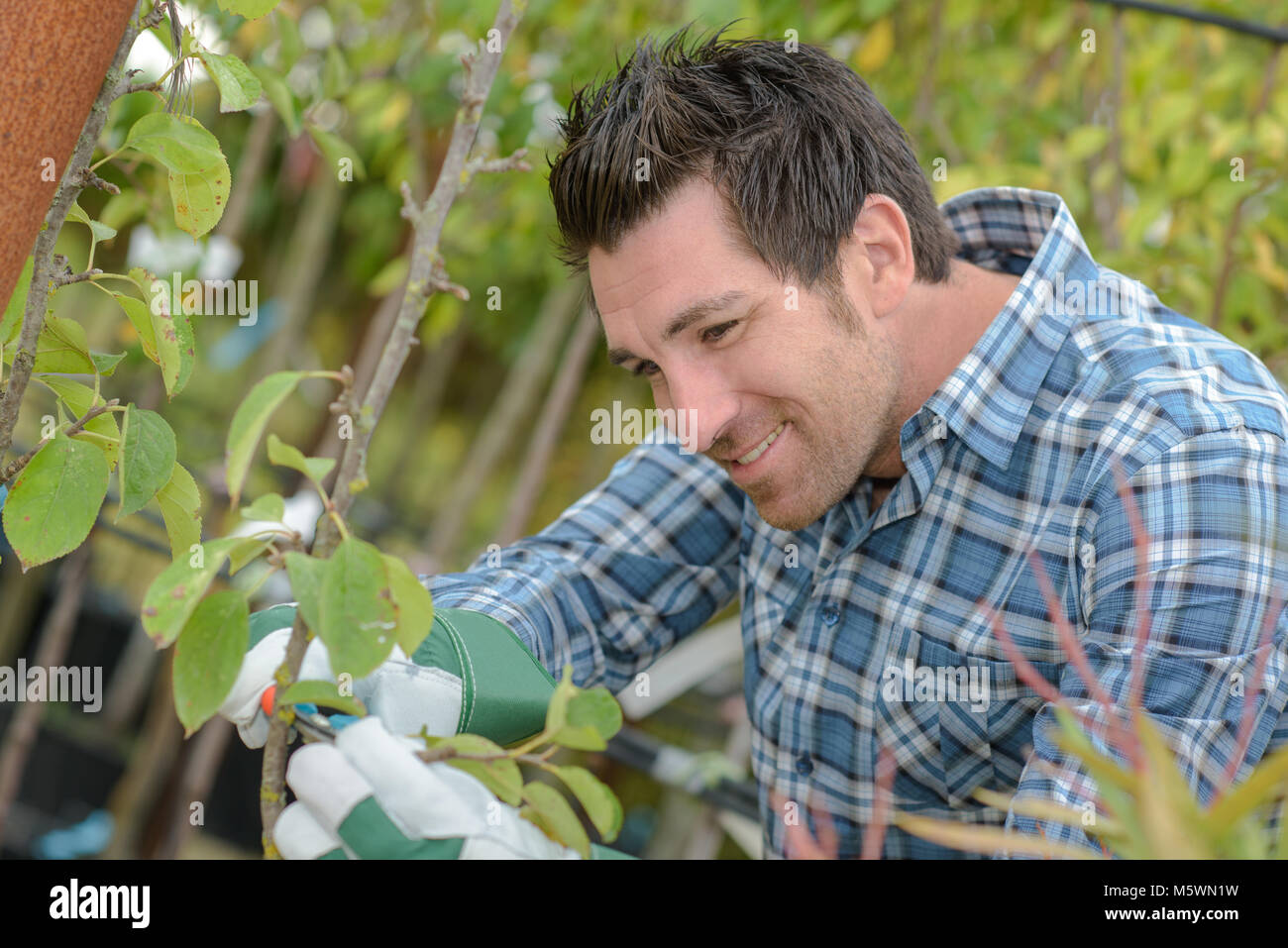 Horticulturist at work Stock Photo - Alamy
