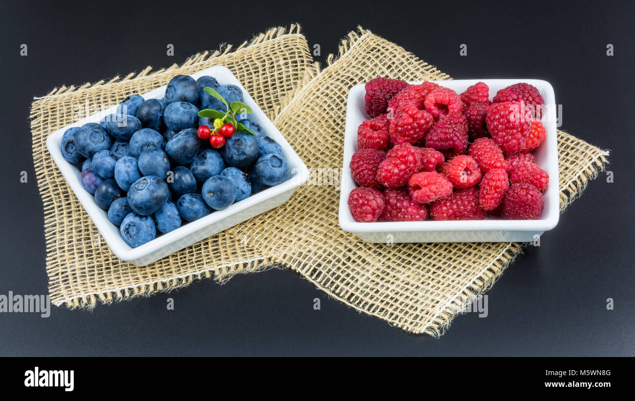 Blueberries and raspberries with decorative cranberry twig. Blue and ...