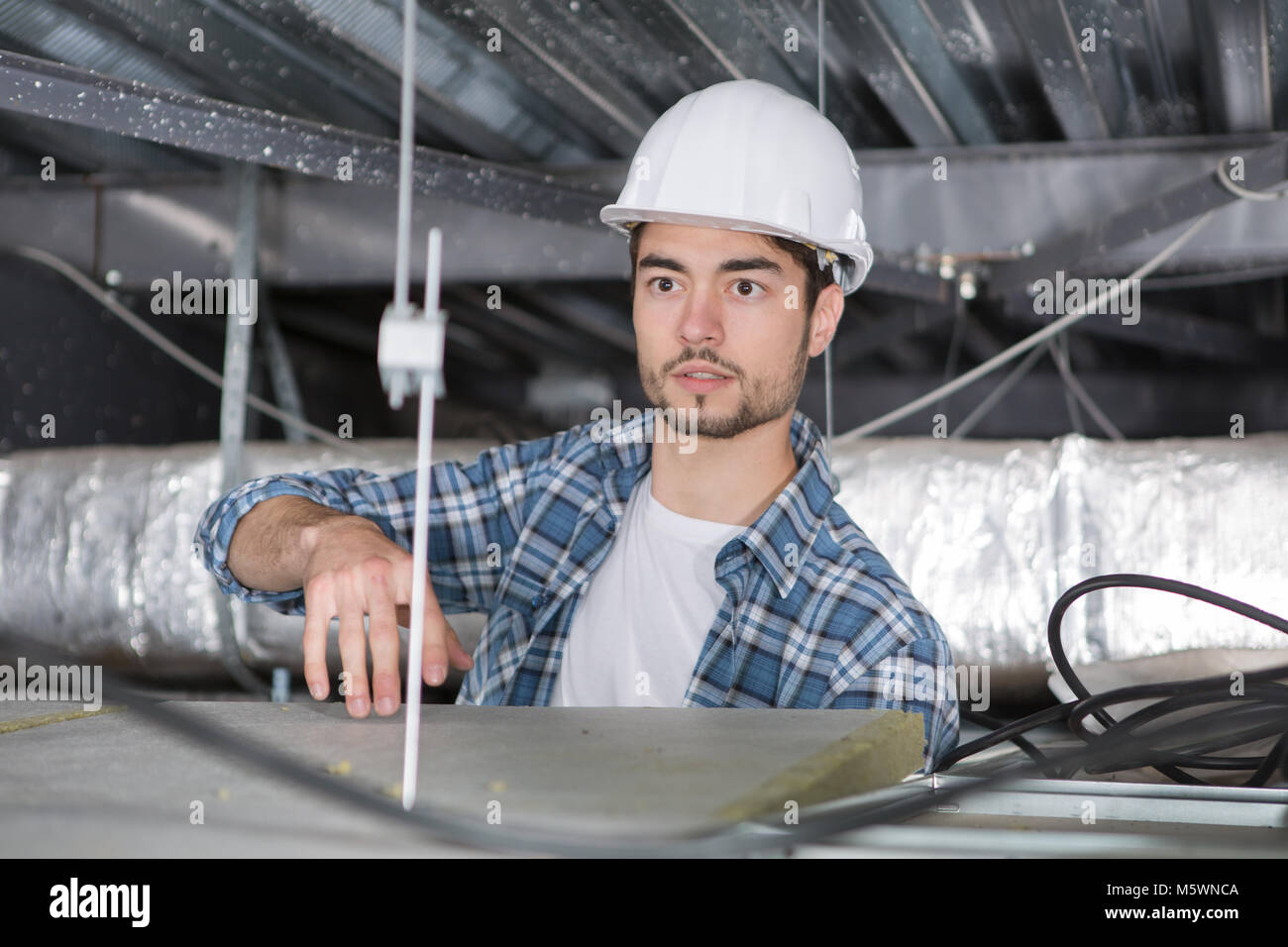 male electrician on stepladder installing ceiling light Stock Photo - Alamy