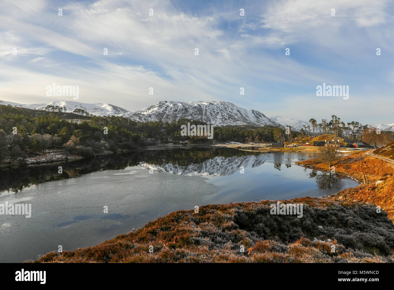 Scottish winter scenes in Glen Affric, Scottish highlands, Scotland, UK ...