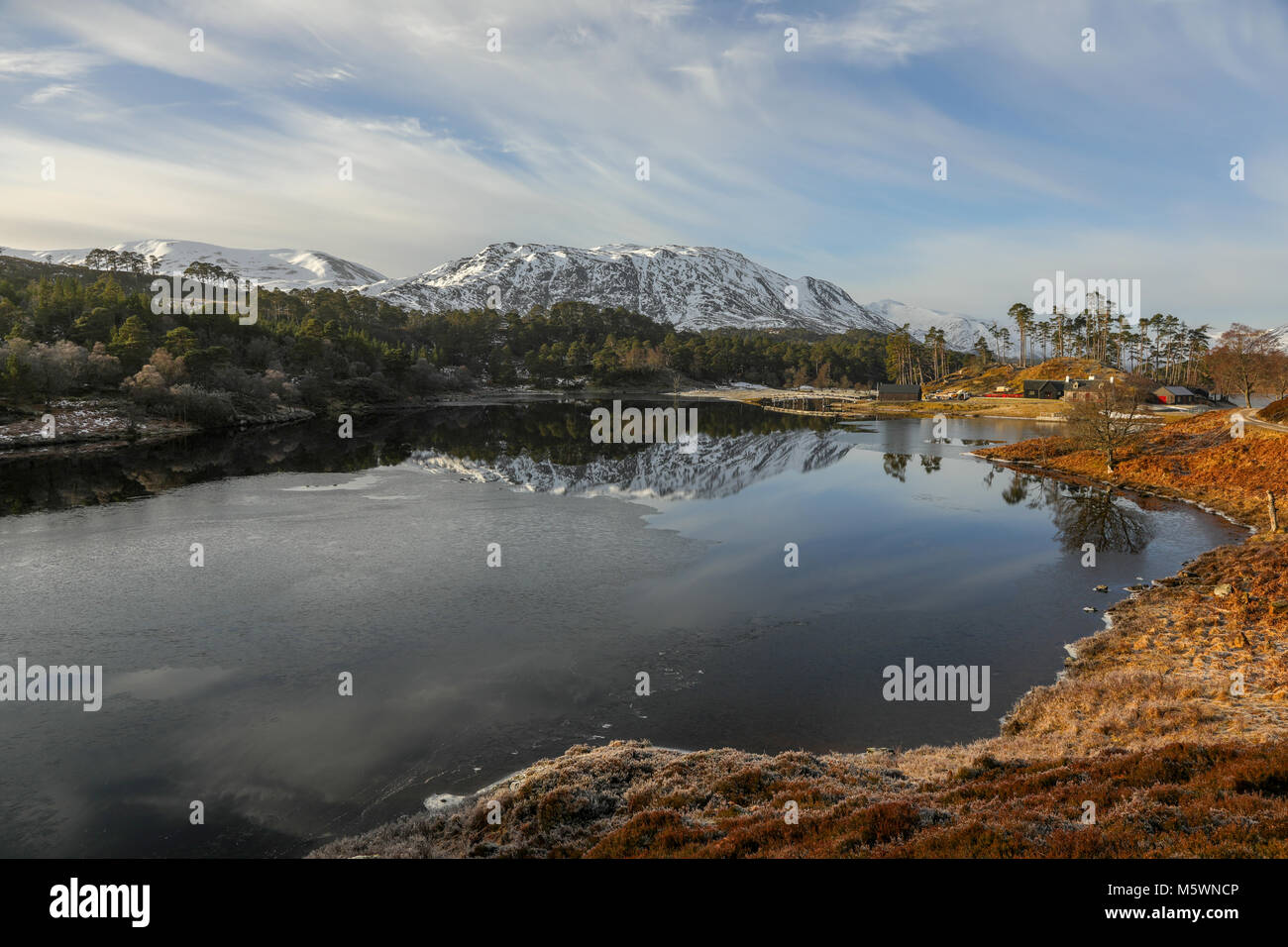 Scottish winter scenes in Glen Affric, Scottish highlands, Scotland, UK ...