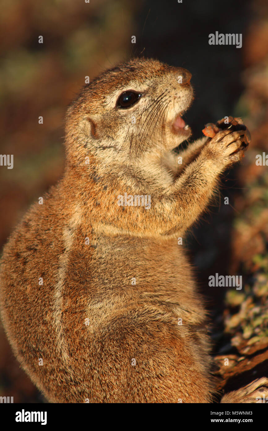 Baby eating chips hi-res stock photography and images - Alamy