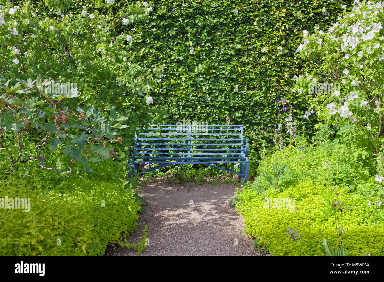 Bench furniture hedge hi-res stock photography and images - Alamy