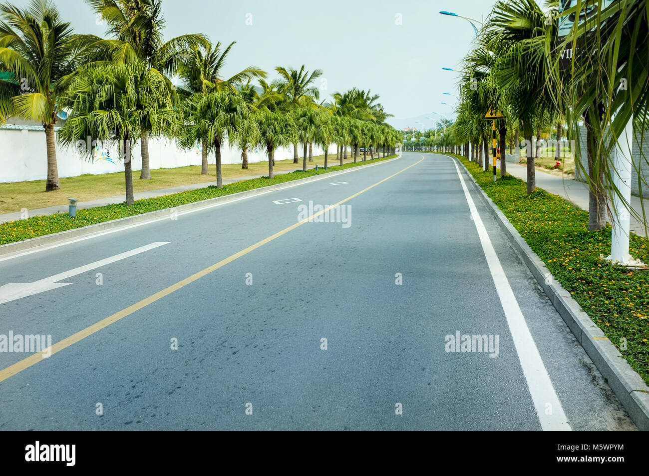 Coconut trees, the coastal highway Stock Photo - Alamy