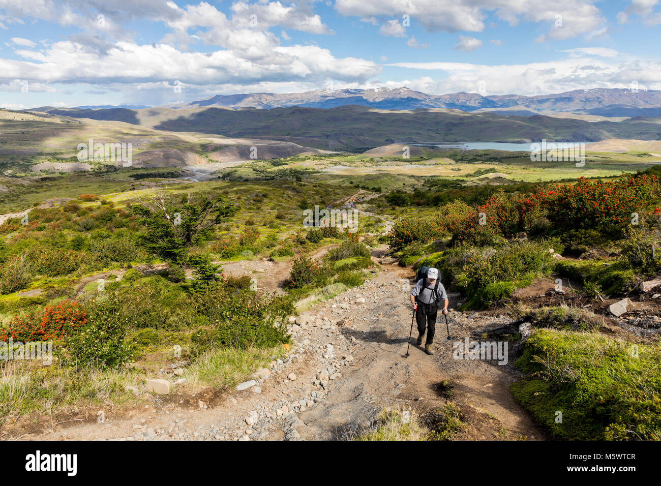 Trekkers hike the famous W trail; Torres del Paine National Park; Chile ...