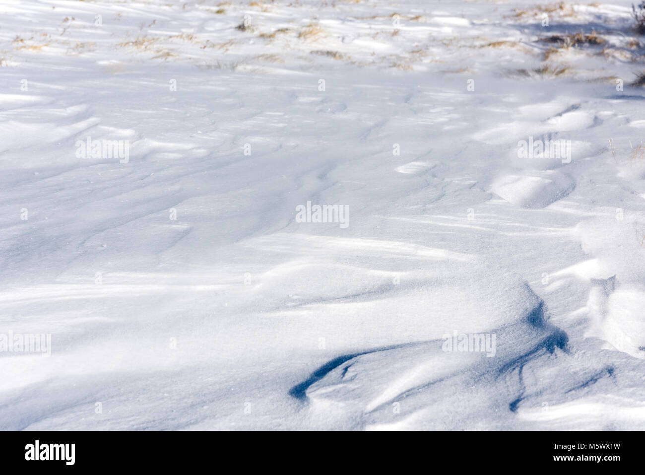 White winter abstract textured background with snow surface pattern ...