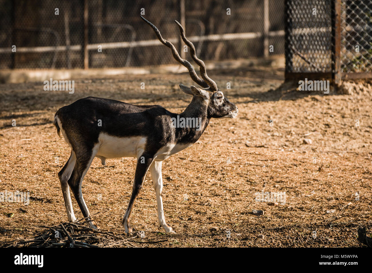 National Zoological Park, New Delhi, India Stock Photo - Alamy