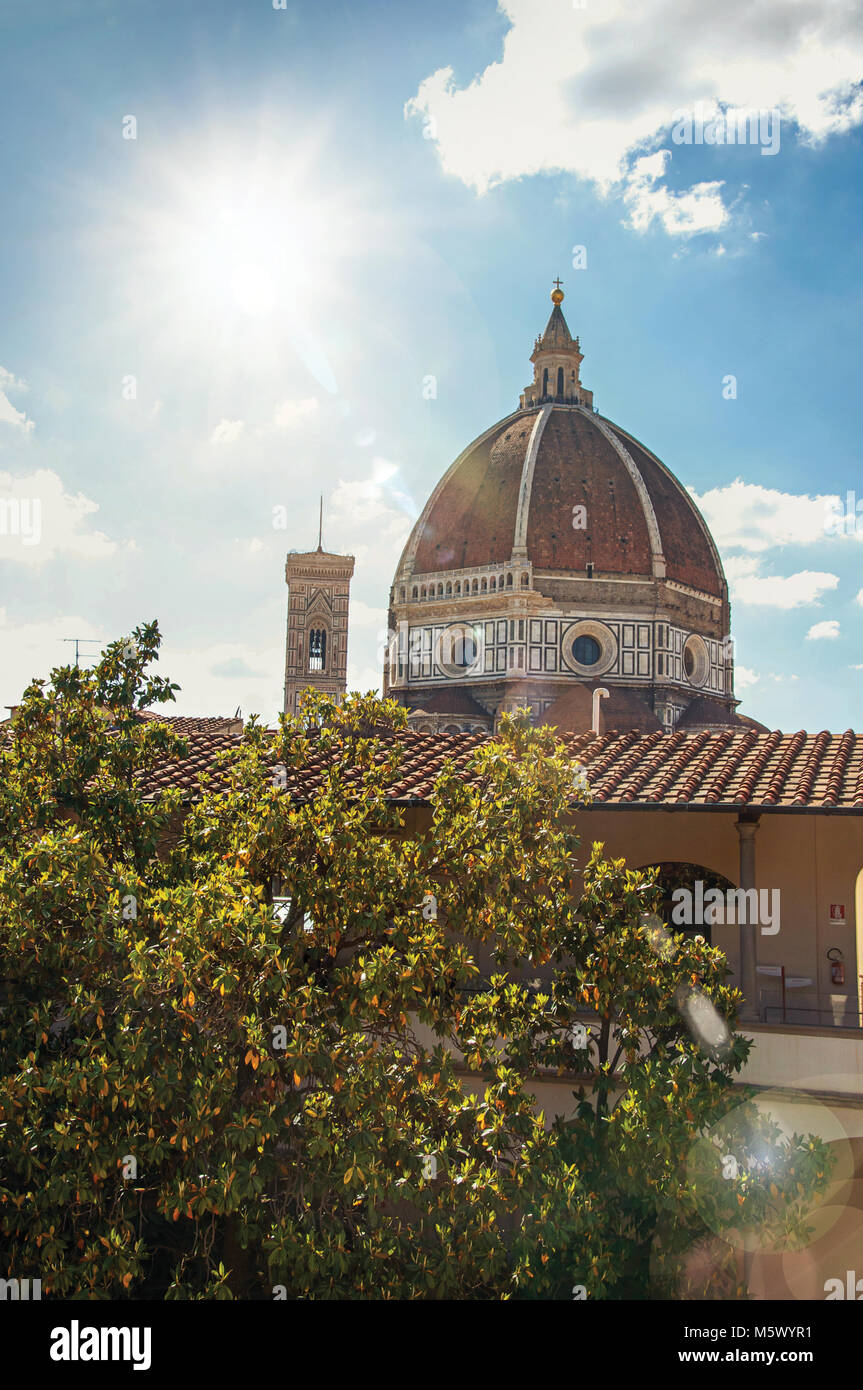 Close-up of roof in building, tree and Cathedral dome with sunny blue ...