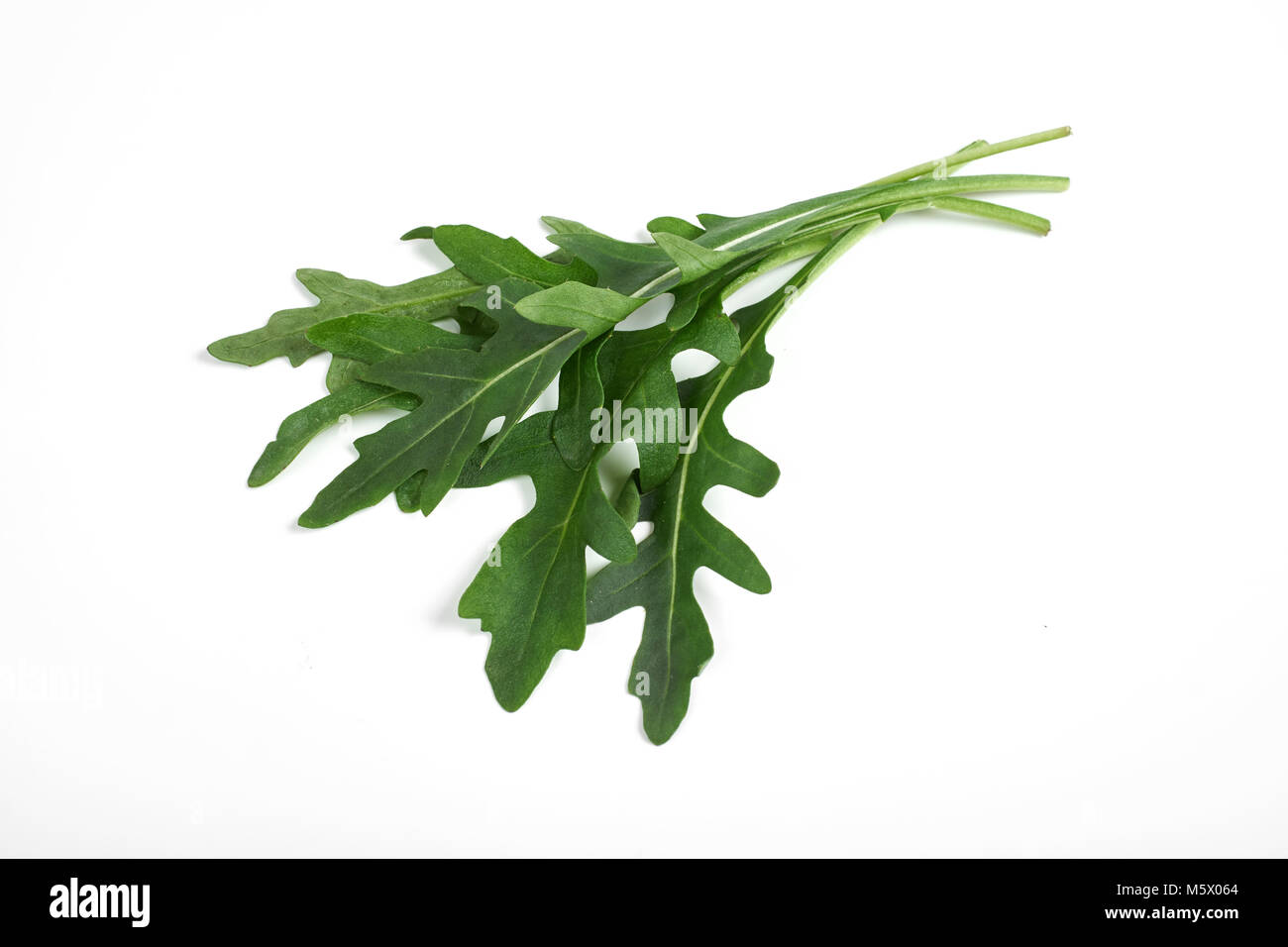 green fresh ruccola isolated on white background, close up studio shot ...