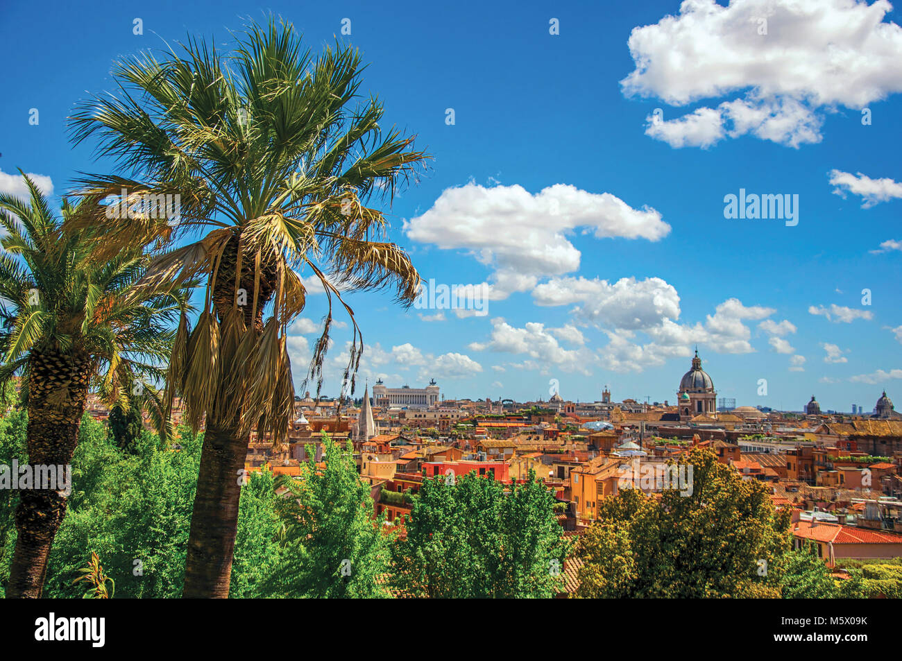 Cathedrals domes, monuments and roofs of buildings in Rome, the ...