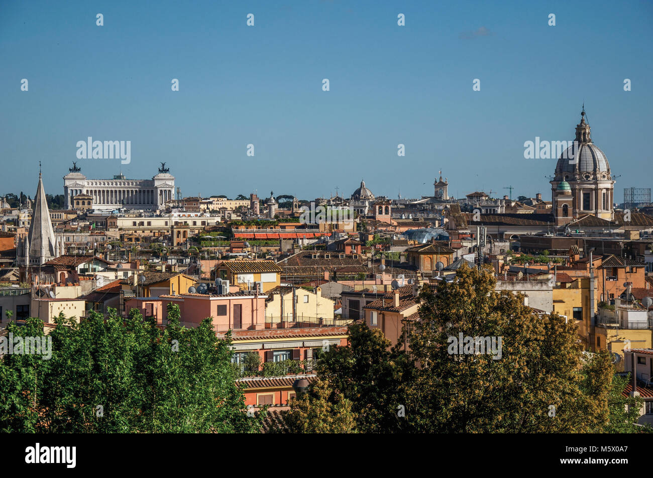 Overview of trees, cathedrals domes and roofs of buildings in the ...