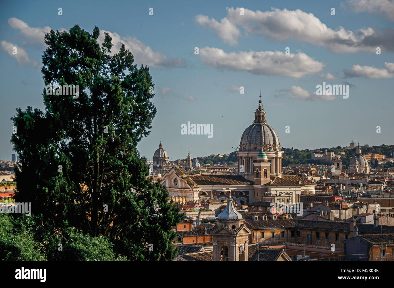 Overview of trees, cathedrals domes and buildings roofs in the sunset ...