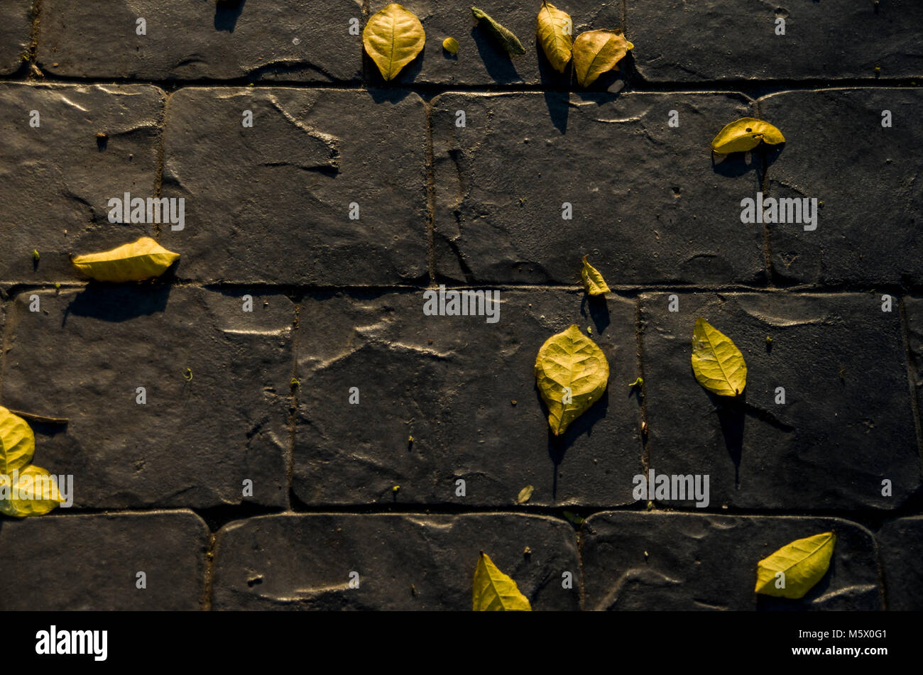 Brick wall background for 3D texture Stock Photo - Alamy