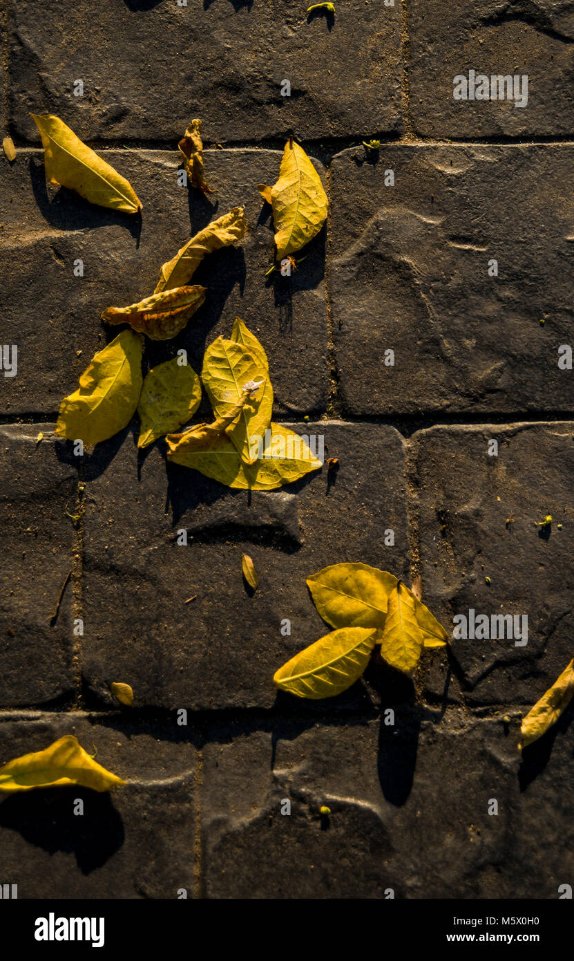 Brick wall background for 3D texture Stock Photo - Alamy