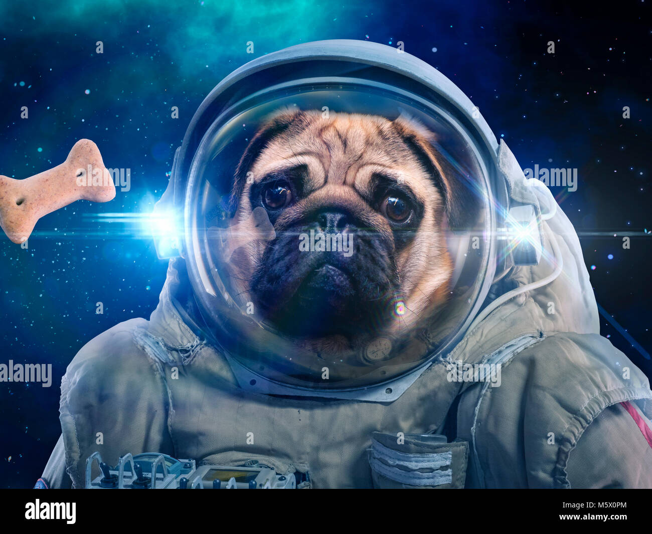 Space food and astronaut hi-res stock photography and images - Alamy