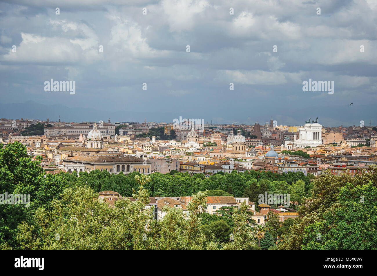 Overview of trees, cathedrals domes, monuments and roofs on a cloudy ...
