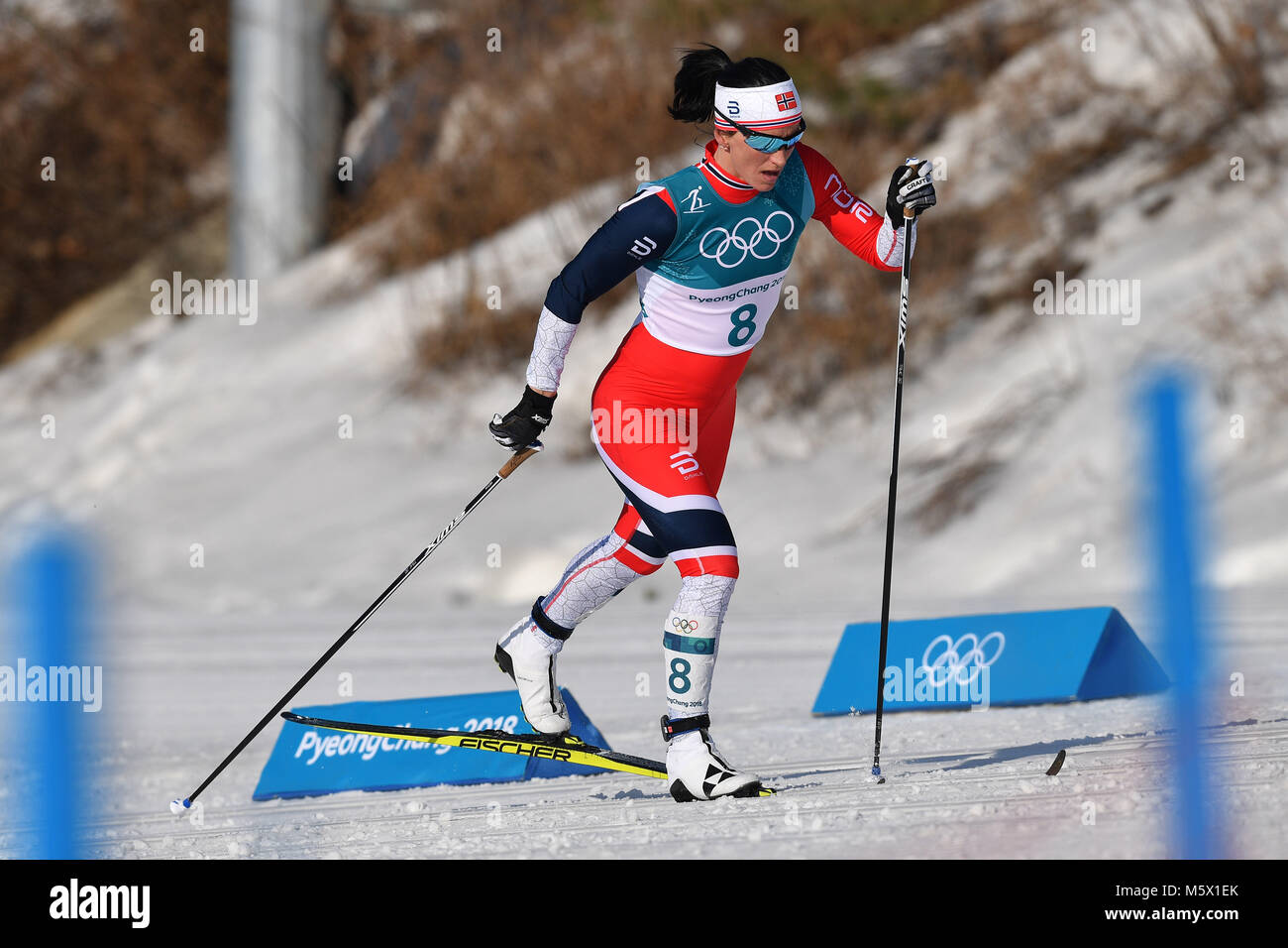 Marit bjorgen korea hi-res stock photography and images - Alamy