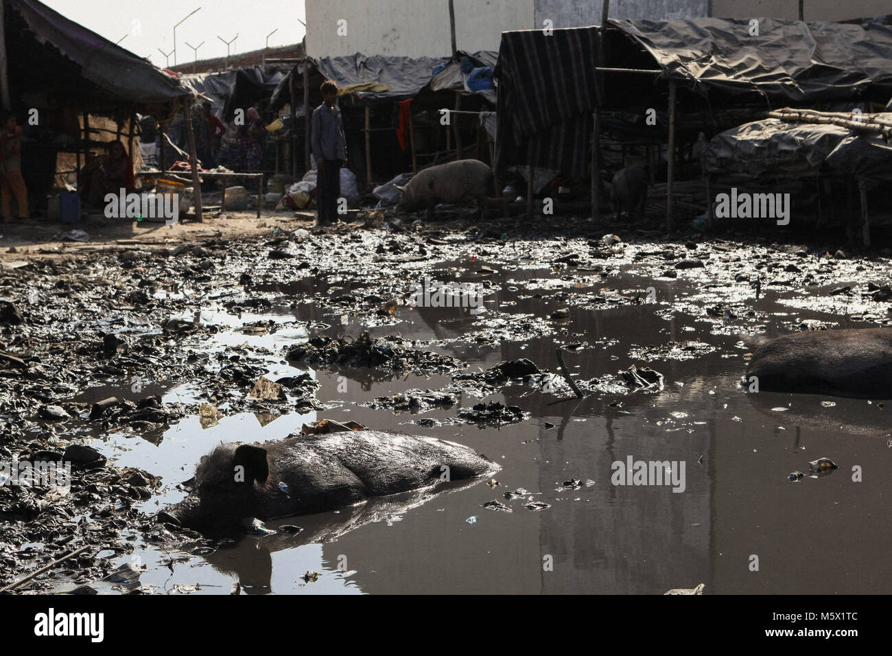 India slum dirty water hi-res stock photography and images - Alamy