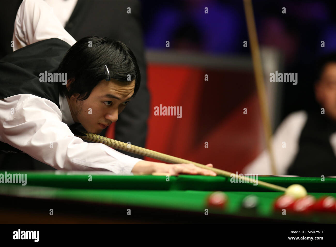 Sunny akani hi-res stock photography and images - Alamy