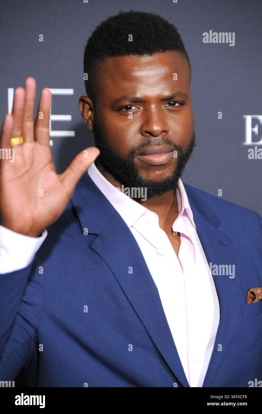 Los Angeles, USA. 26th Feb, 2018. Actor Winston Duke attends the World ...