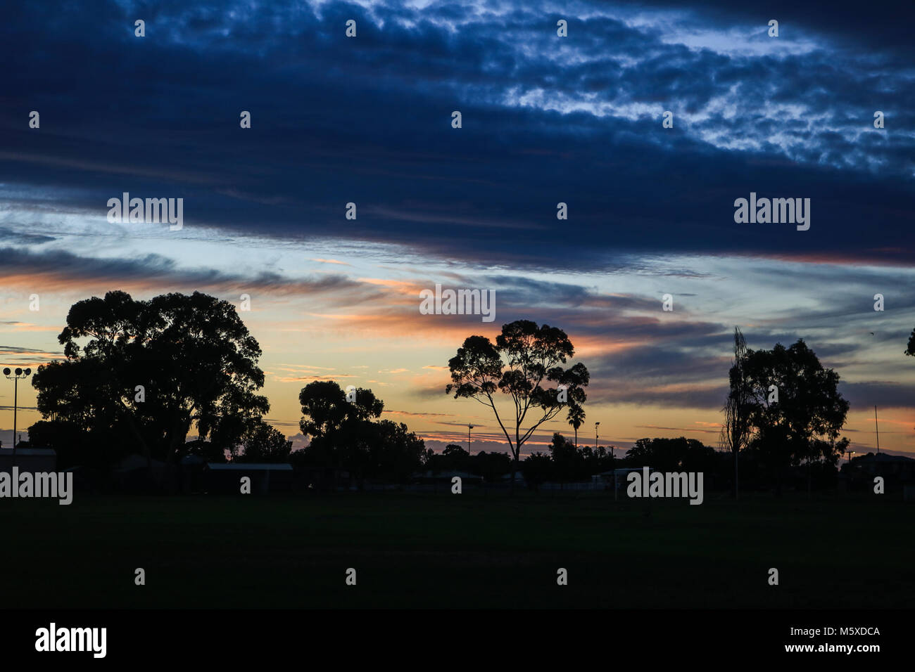 Adelaide, Australia. 27th Feb, 2018. Trees are silhouetted against a ...