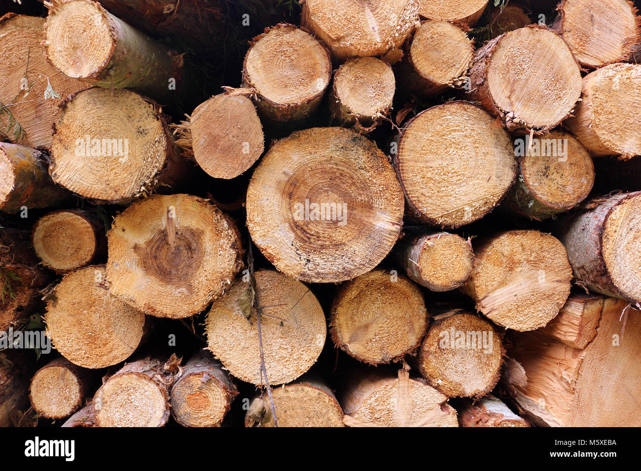 Stack of wooden fire logs Stock Photo - Alamy