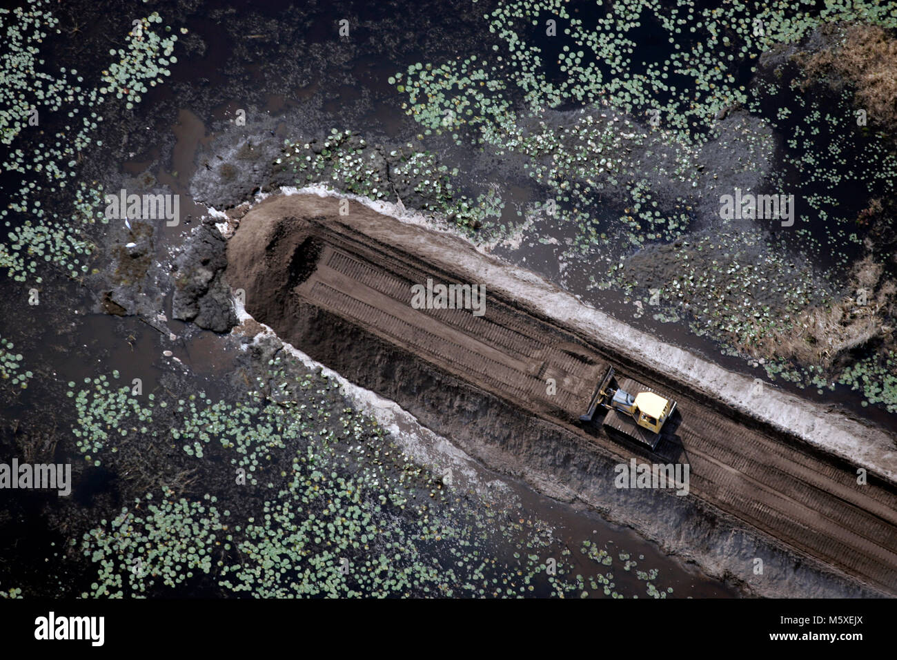 Wetland destruction hi-res stock photography and images - Alamy