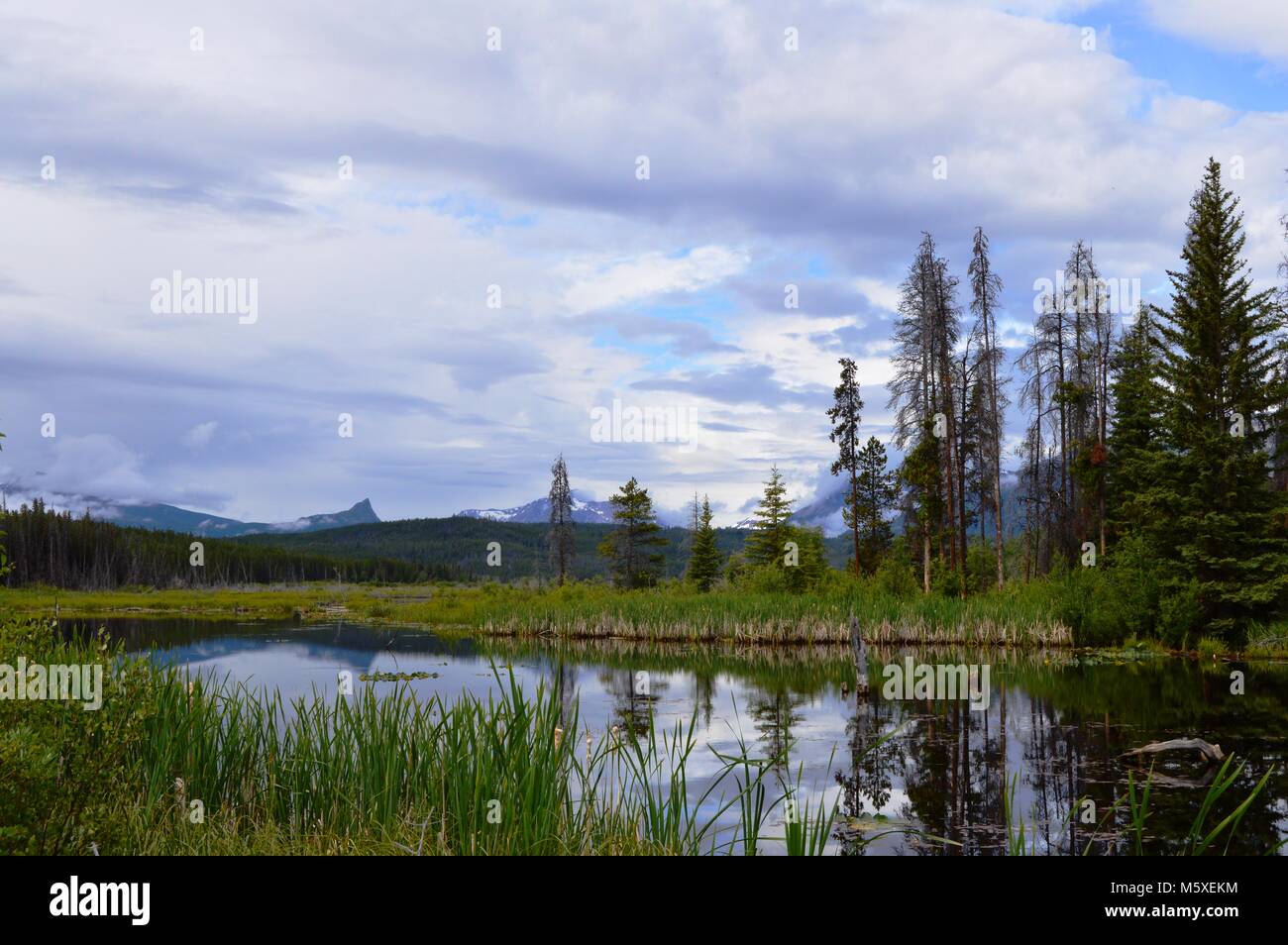 Northern wilderness hi-res stock photography and images - Alamy