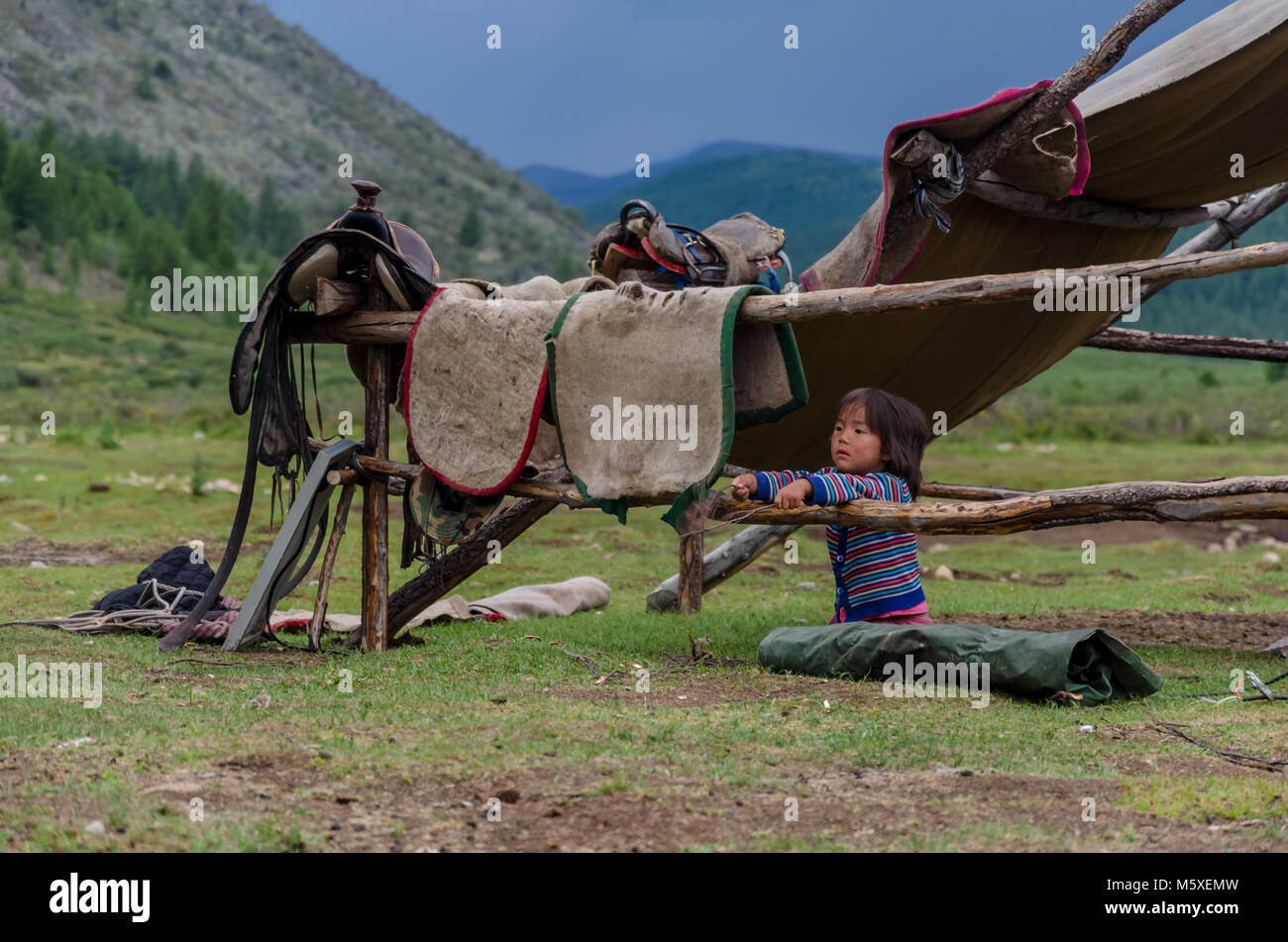 Animal Herder Stock Photos & Animal Herder Stock Images - Alamy