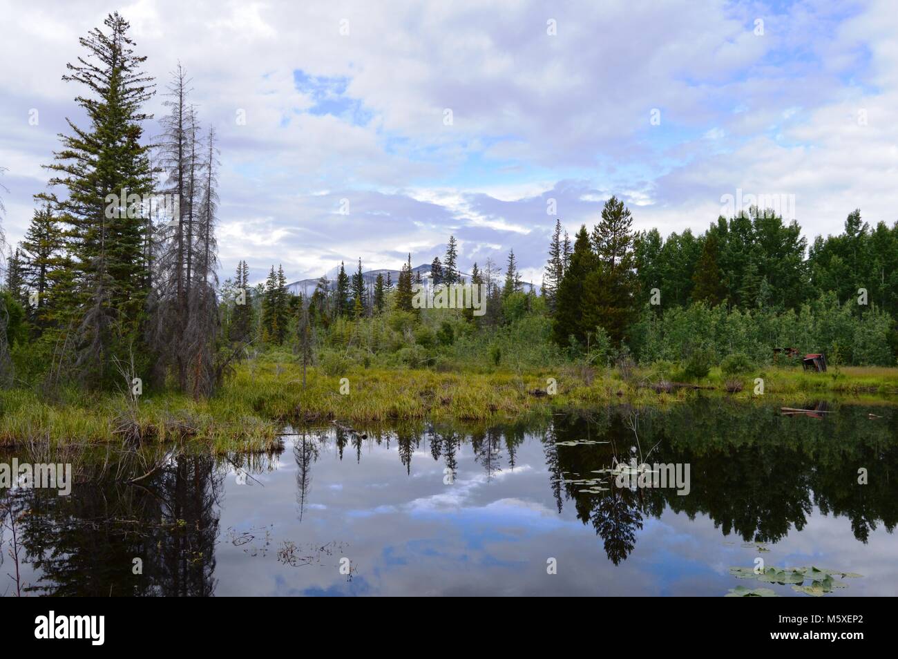 Land beyond 60th parallel, North west trritories Stock Photo - Alamy