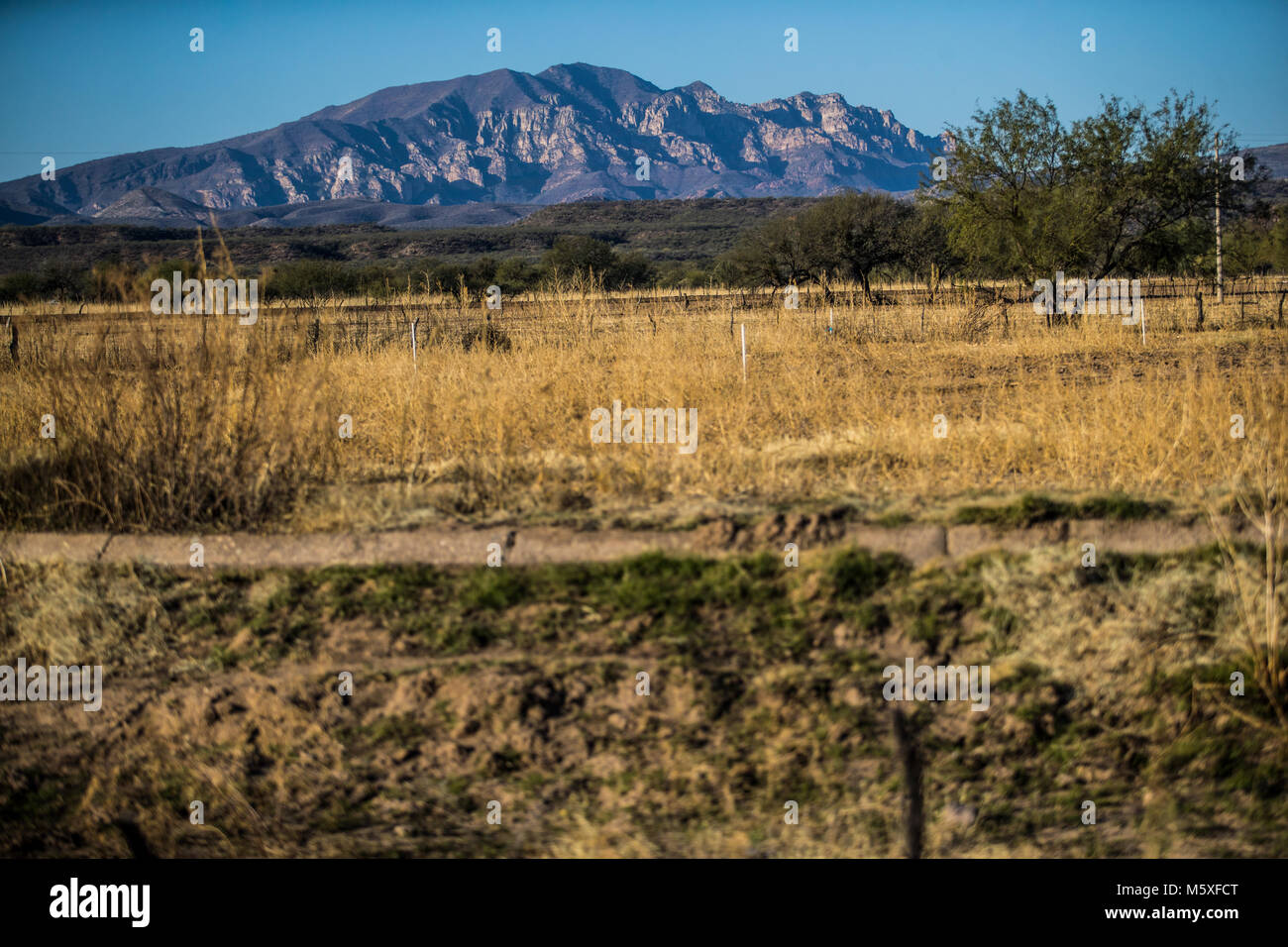 Mountain or white hill in La Labor town in the municipality of Cumpas ...